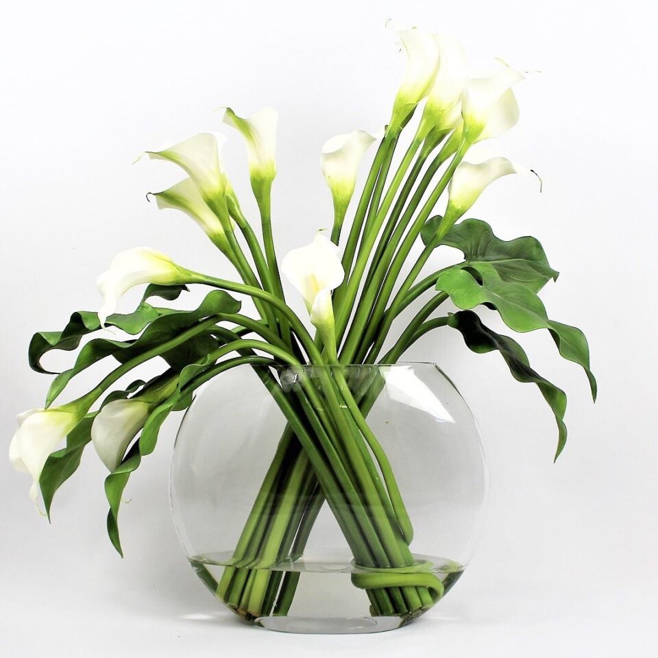 Calla lilies - CFA Design Group