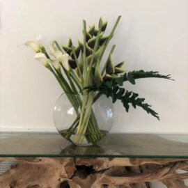 Tropical - CFA Design Group