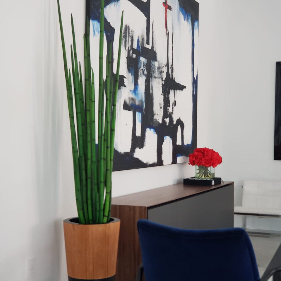 Snake grass (63″) with Lux planter in black - CFA Design Group