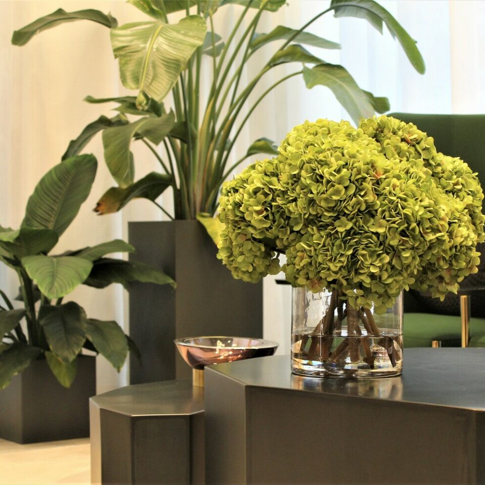 Hydrangeas - CFA Design Group