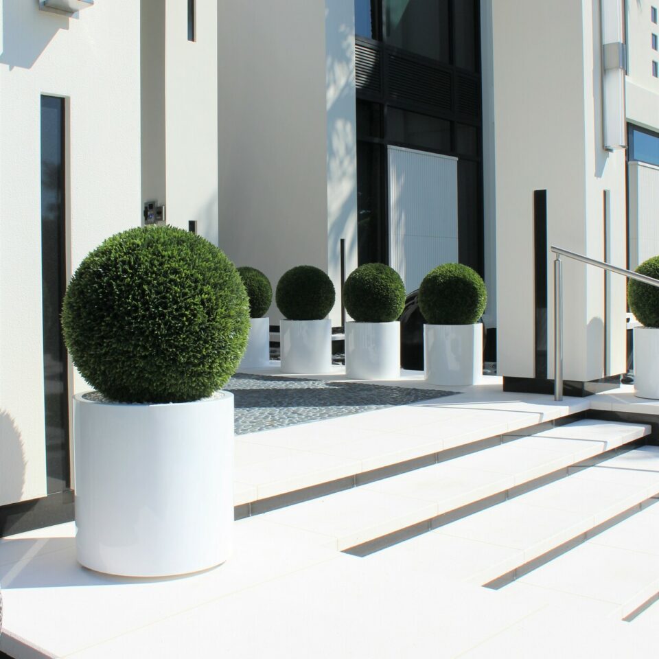 20″ Topiary with Max Fiberglass Vase - CFA Design Group