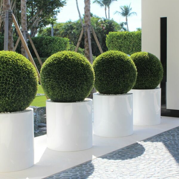 20″ Topiary with Max Fiberglass Vase - CFA Design Group