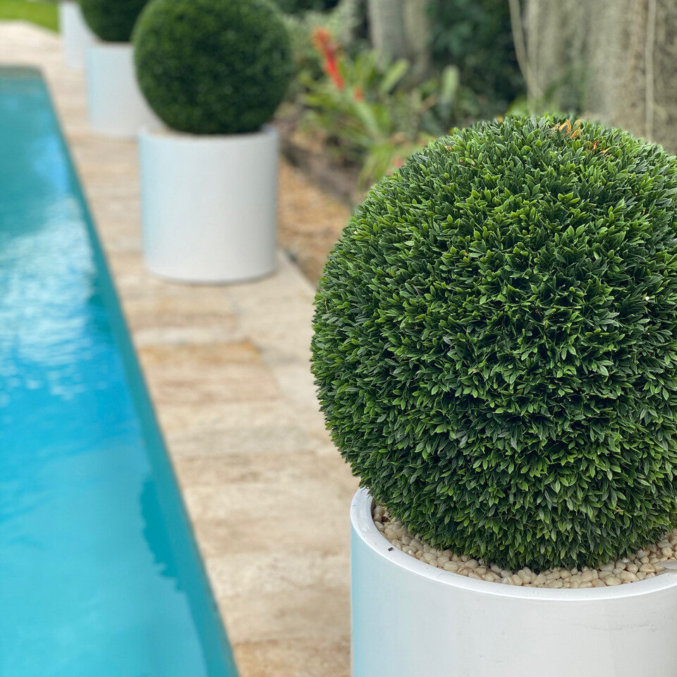 20″ Topiary with Max Fiberglass Vase - CFA Design Group
