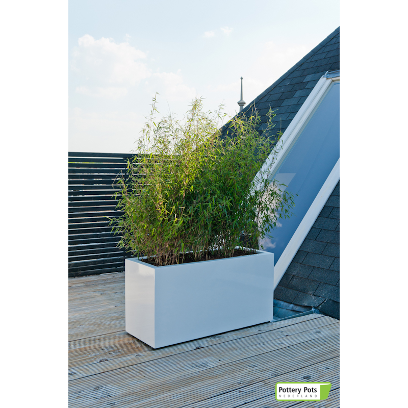 Jort M Fiberglass Glossy White - CFA Design Group