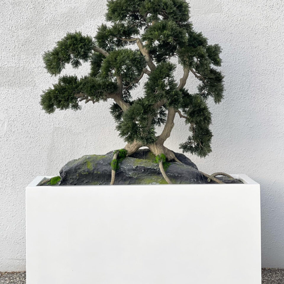 Rock embedded Bonsai with Block M Planter - CFA Design Group
