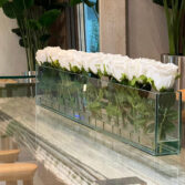 Roses - CFA Design Group