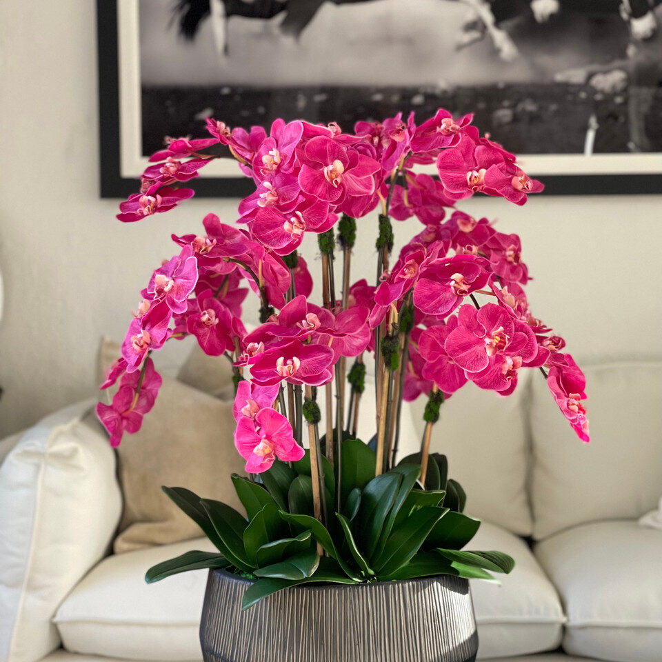 Products – CFA Design Group