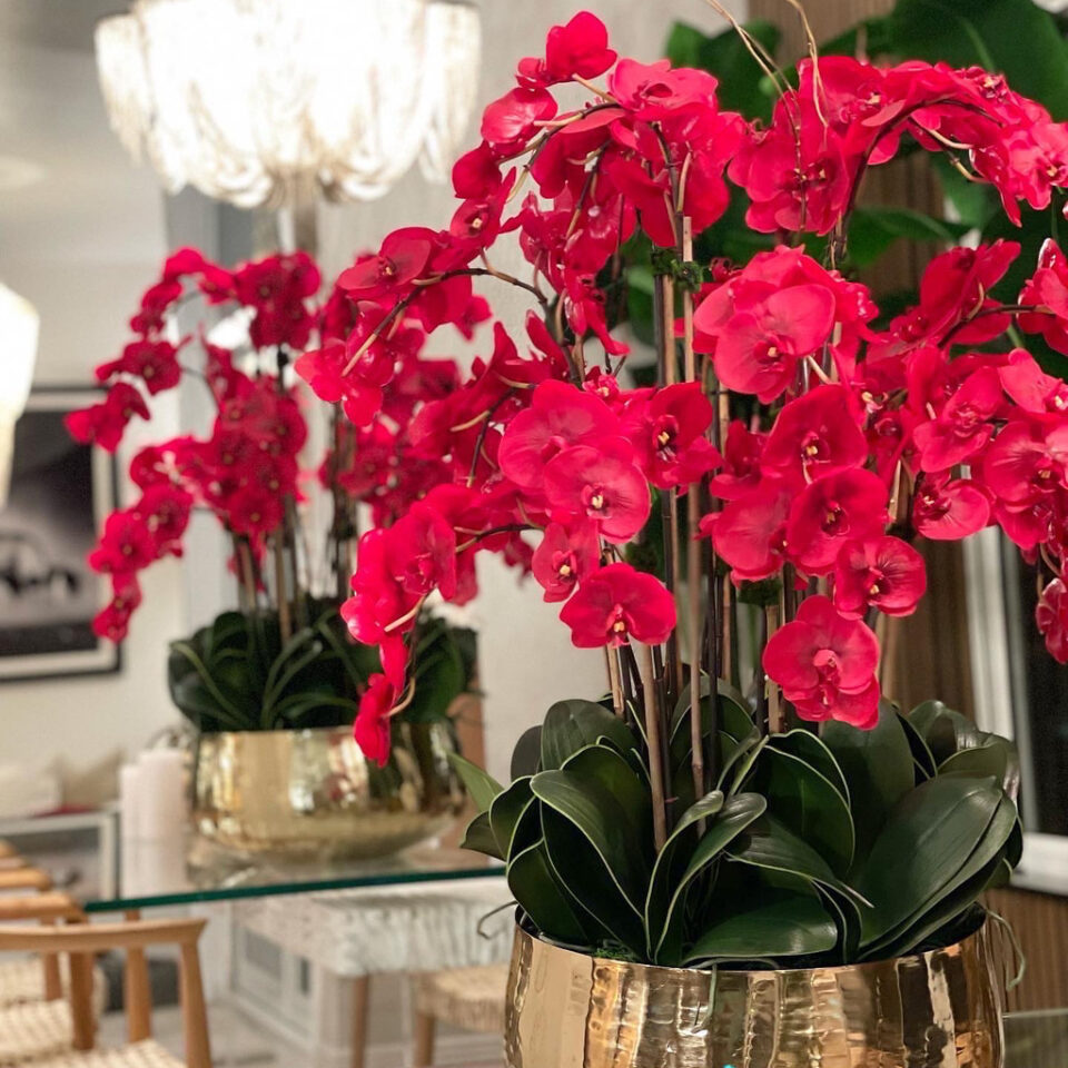 Red Phalaenopsis Orchids Floral Arrangement in Medium Gold Planter ...