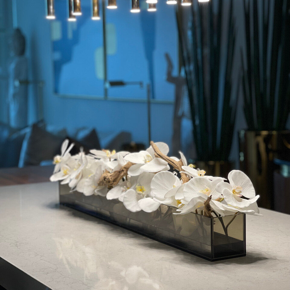 Most Popular – CFA Design Group