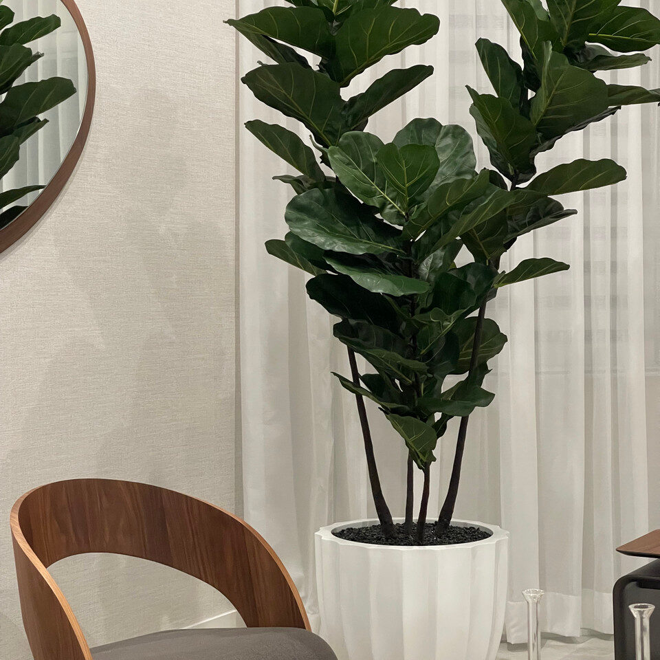 Santa Barbara Planter with Planter with Fiddle Tree - CFA Design Group