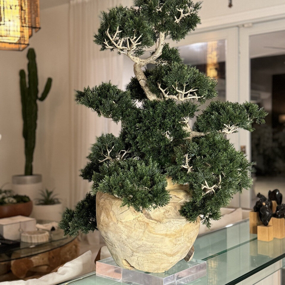 Teak Vase with Semi cascade Bonsai - CFA Design Group