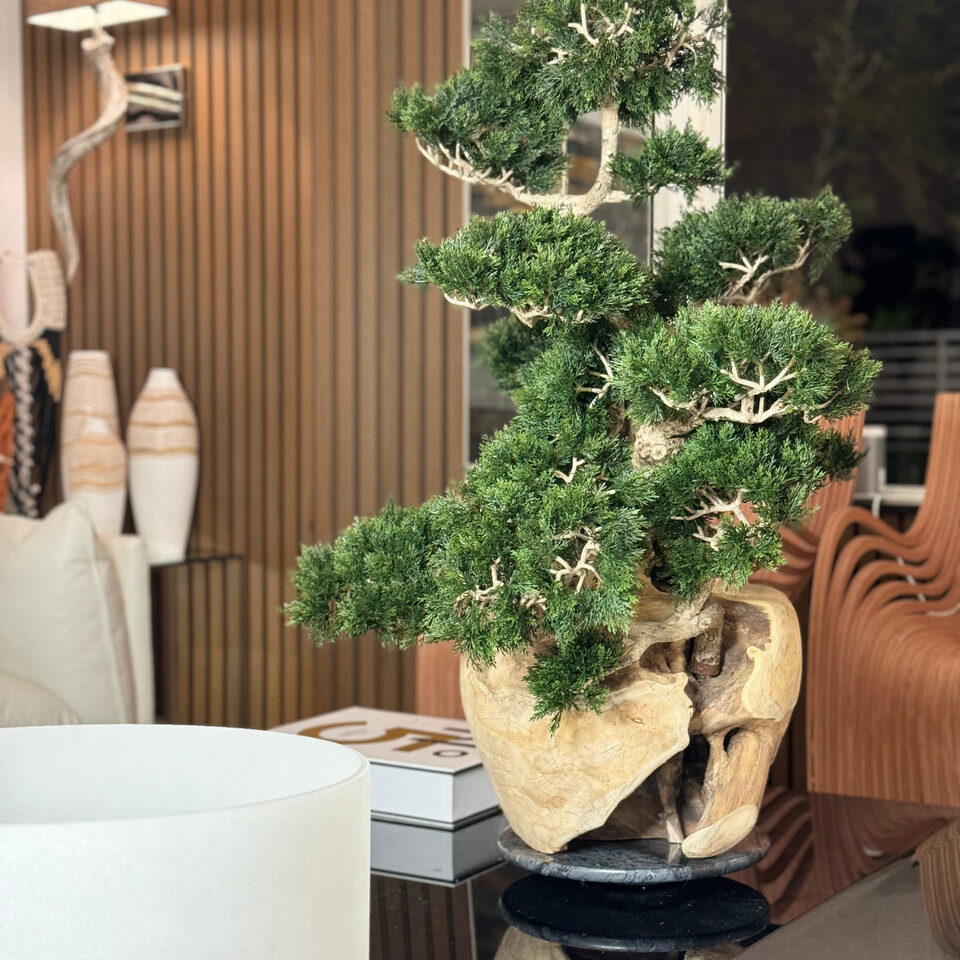 Teak Vase with Semi cascade Bonsai - CFA Design Group