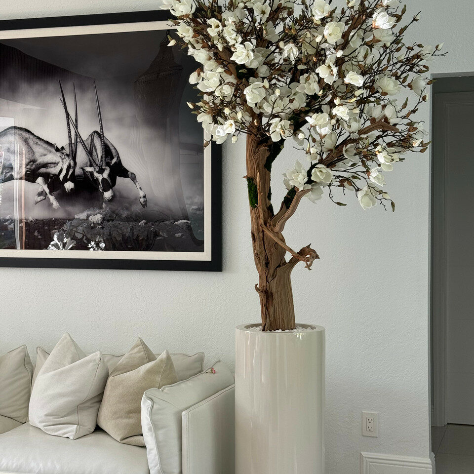 Most Popular - CFA Design Group