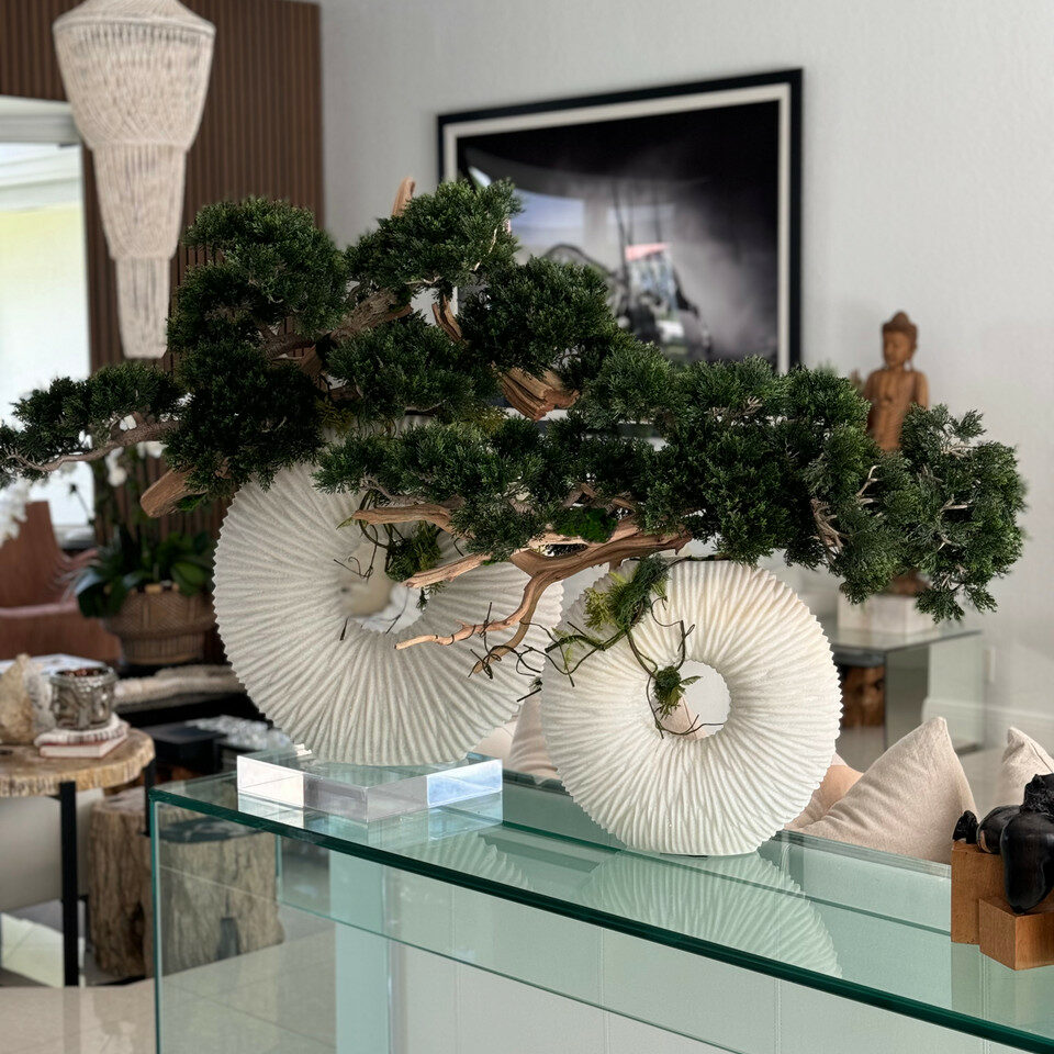 Large Eternity Vase with Trailing Bonsai Tree and Driftwood - CFA ...
