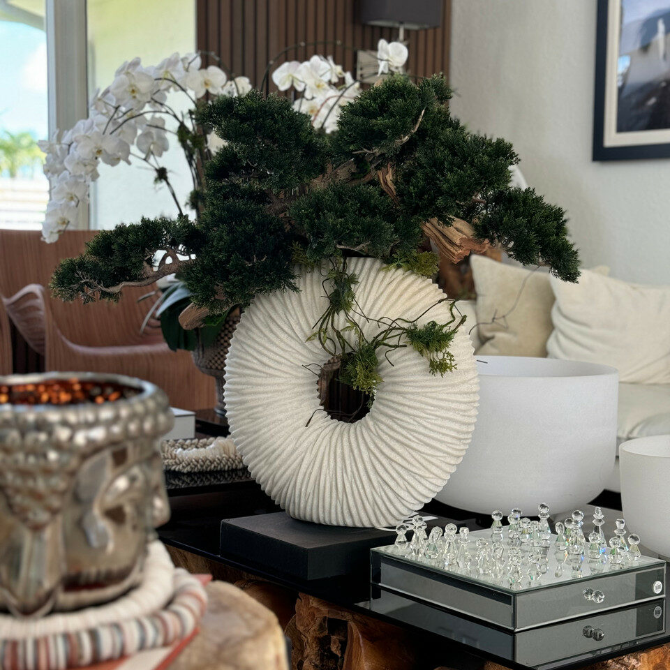 Large Eternity Vase with Trailing Bonsai Tree and Driftwood - CFA ...