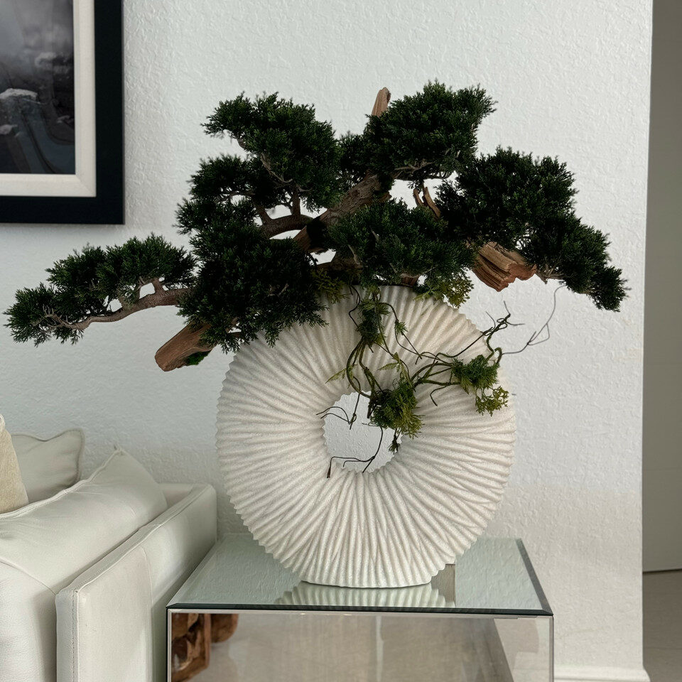 Large Eternity Vase with Trailing Bonsai Tree and Driftwood - CFA ...