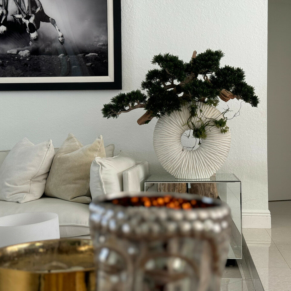 Large Eternity Vase with Trailing Bonsai Tree and Driftwood - CFA ...