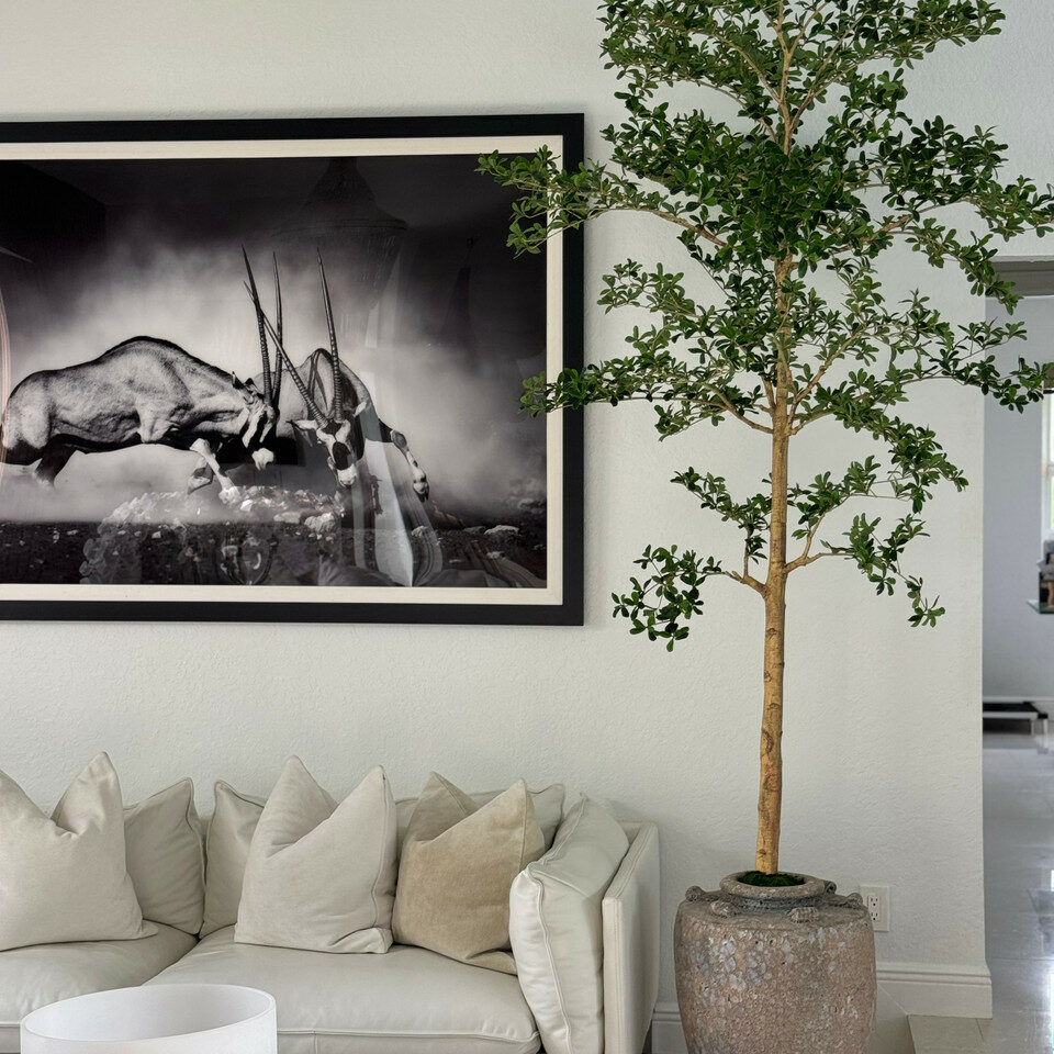 Products - CFA Design Group