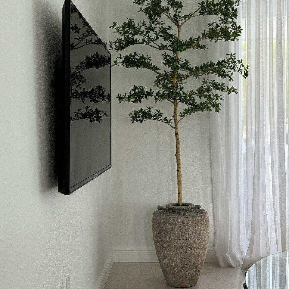 Parthenon Planter with 7′ Shady Lady Tree - CFA Design Group