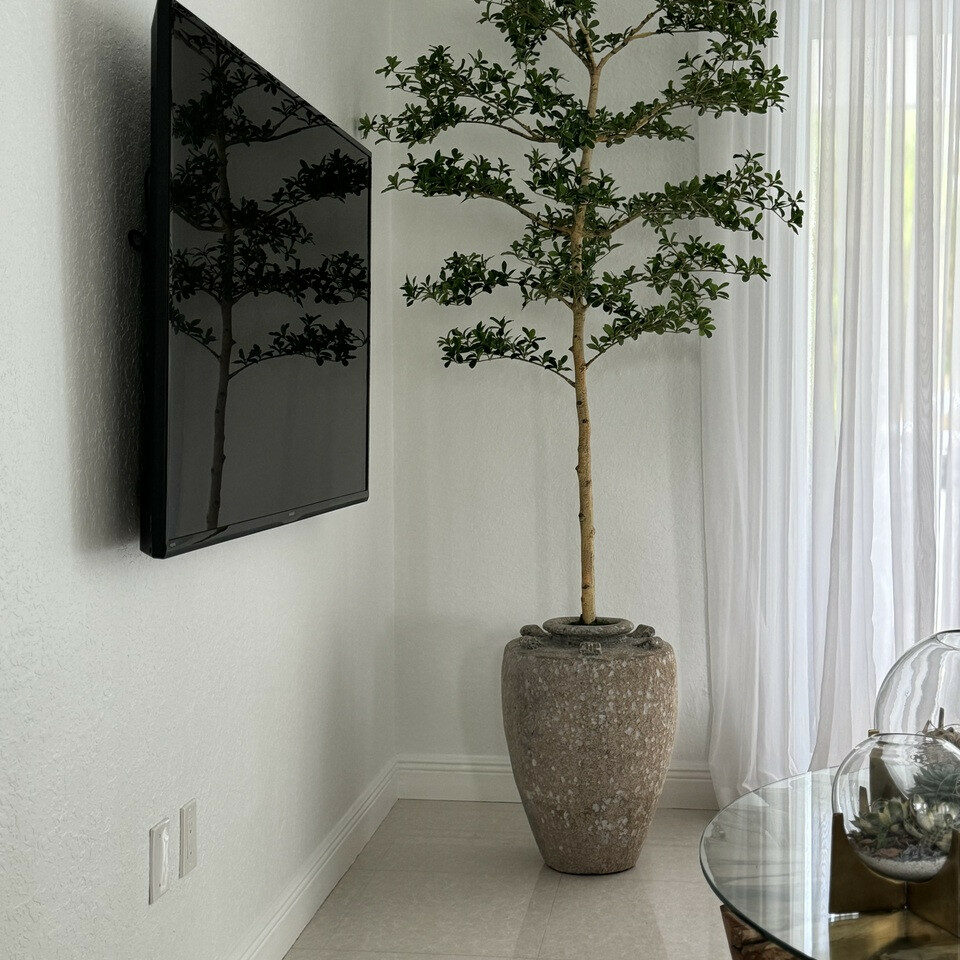 Parthenon Planter with 7′ Shady Lady Tree - CFA Design Group