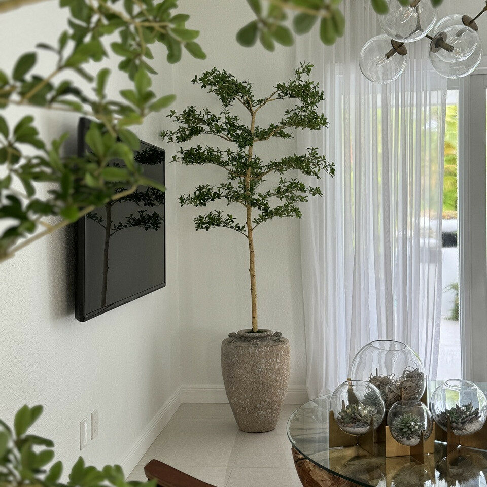 Parthenon Planter with 7′ Shady Lady Tree - CFA Design Group