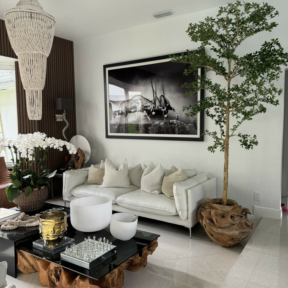 One of a Kind Teak Hand Carved Planter with 7′ Shady Lady Tree - CFA ...