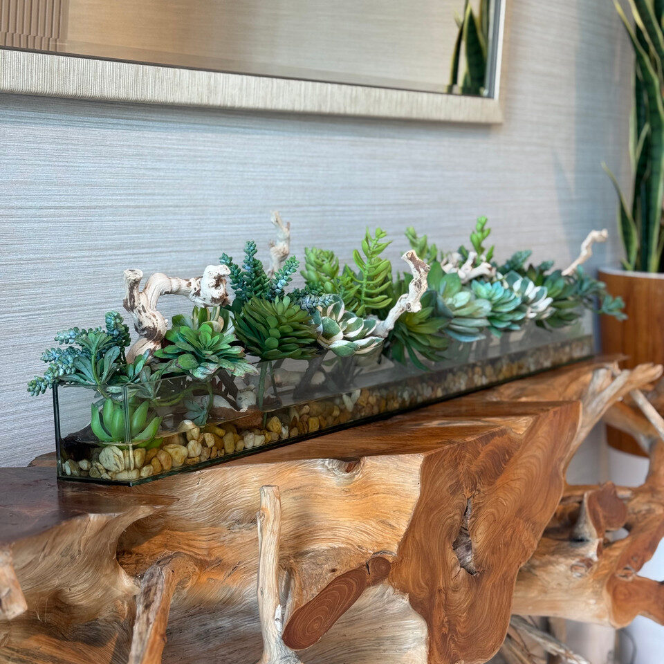 48″ Casa Moderna Rectangular Glass Planter with Succulents and ...